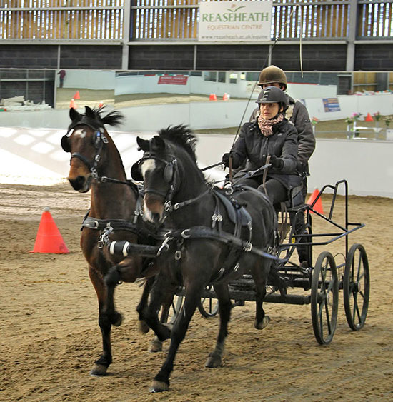 British Horse Driving Trials Association - Carriage Driving Office News
