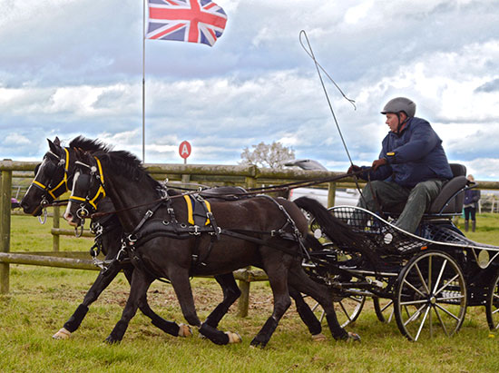 British Horse Driving Trials Association - Carriage Driving Office News