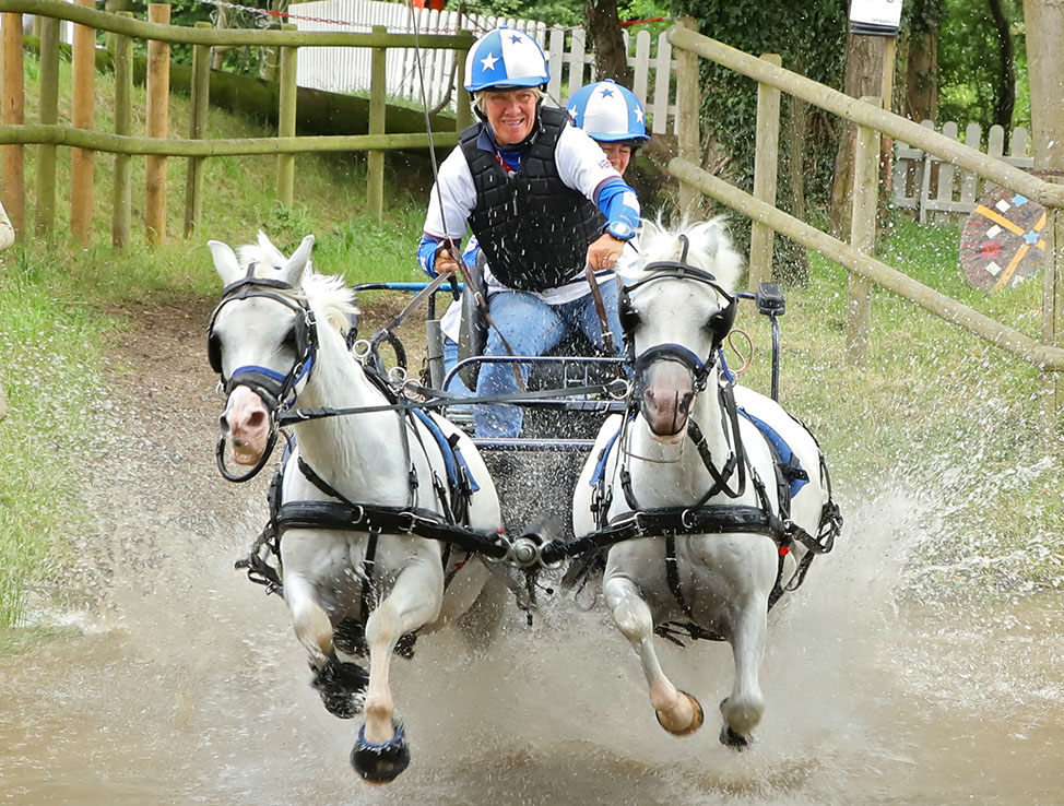 British Carriagedriving