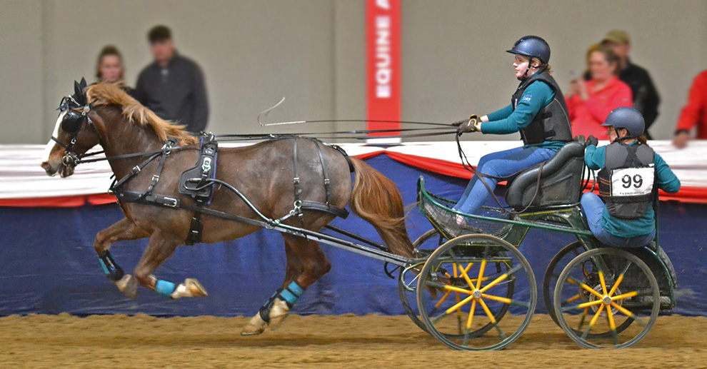 BYDs at Indoor Championships
